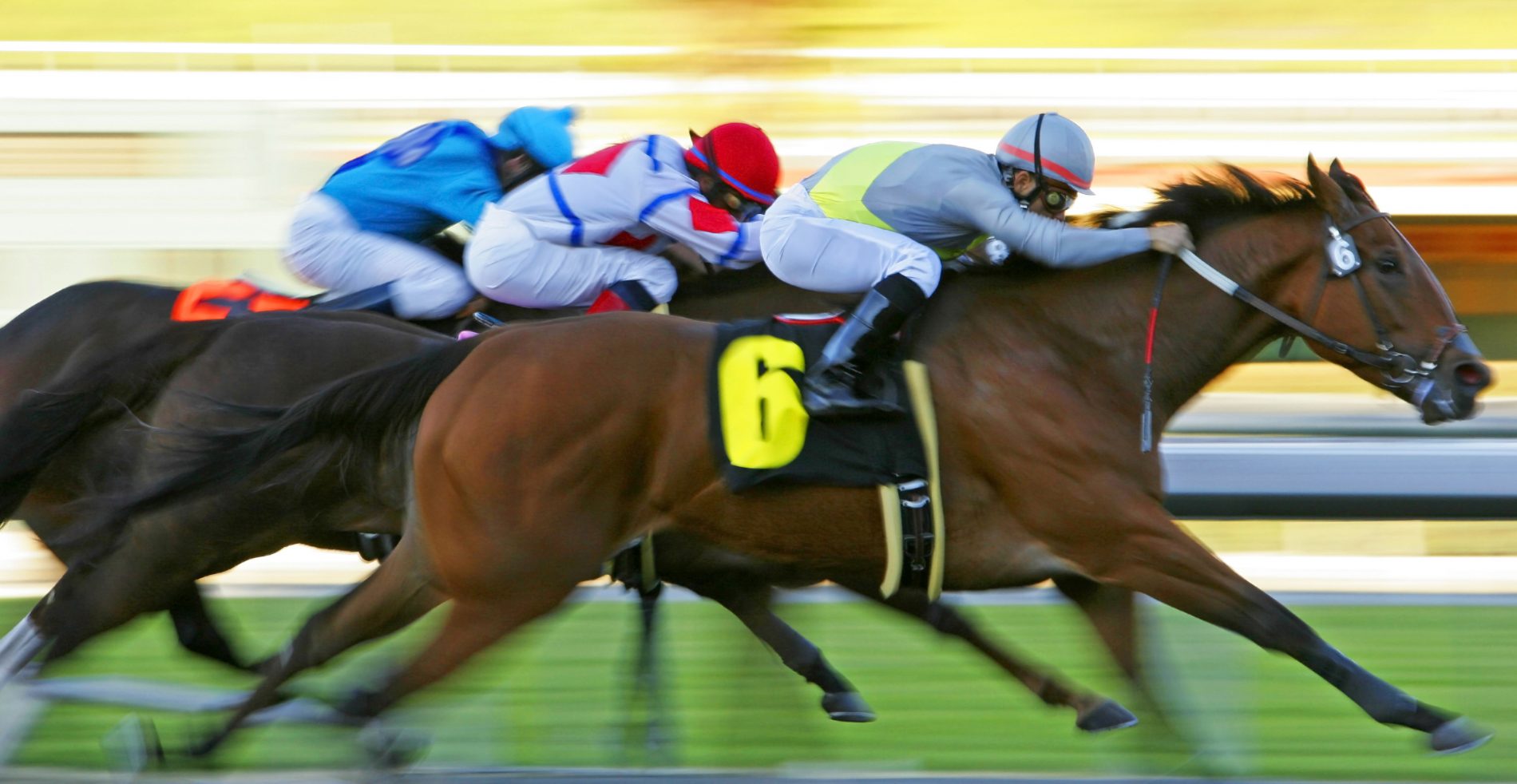 YouTuber Not Even Emily Opens Up About Identity and Balancing Social ...